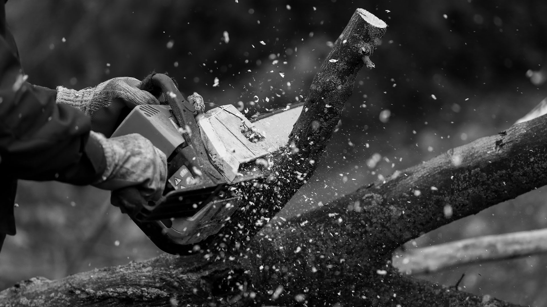 Creation Appreciation Landscaping in Afton, Virginia